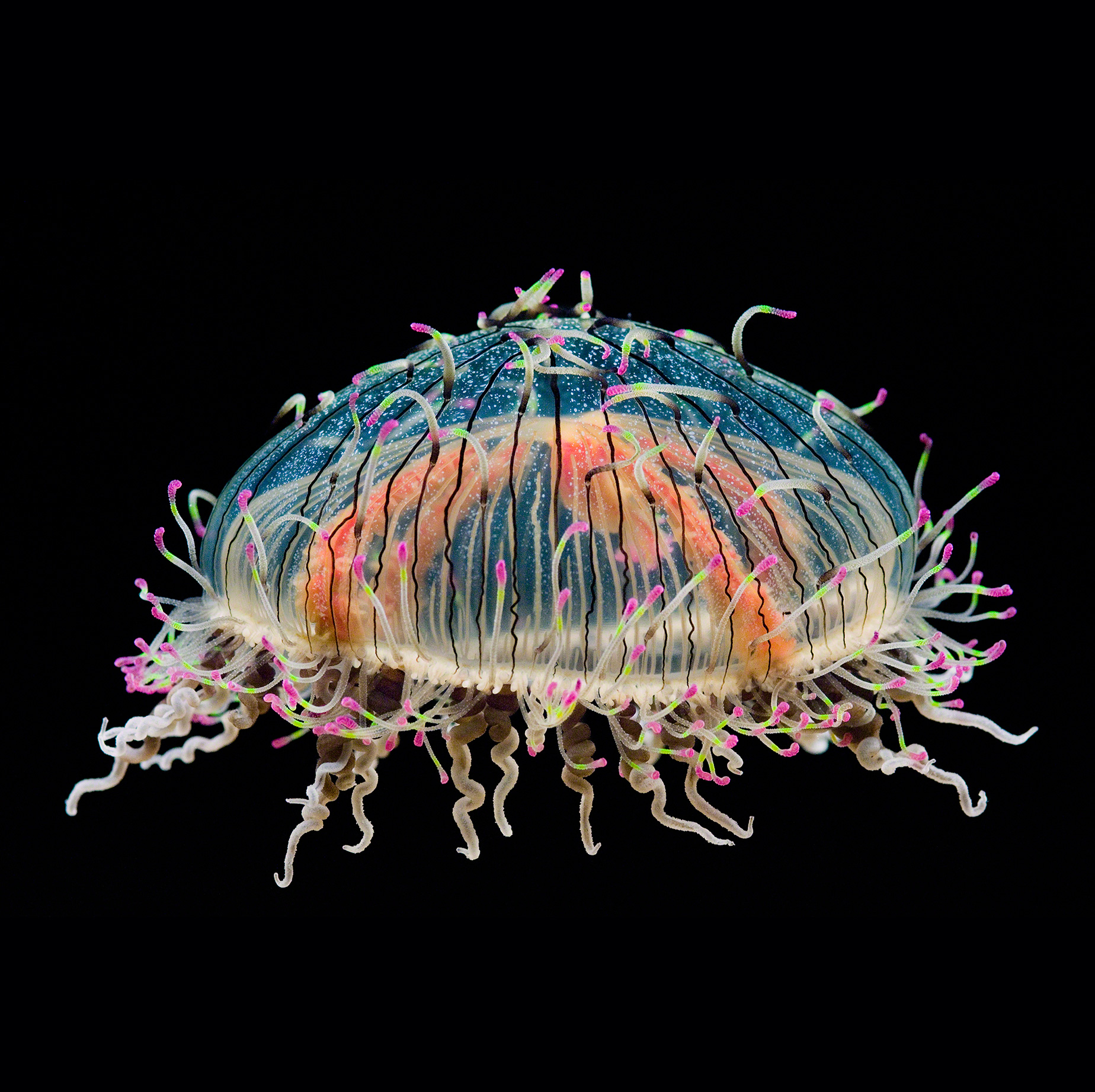 Annenberg Space for Photography Presents LIFE: A Journey Through Time ...