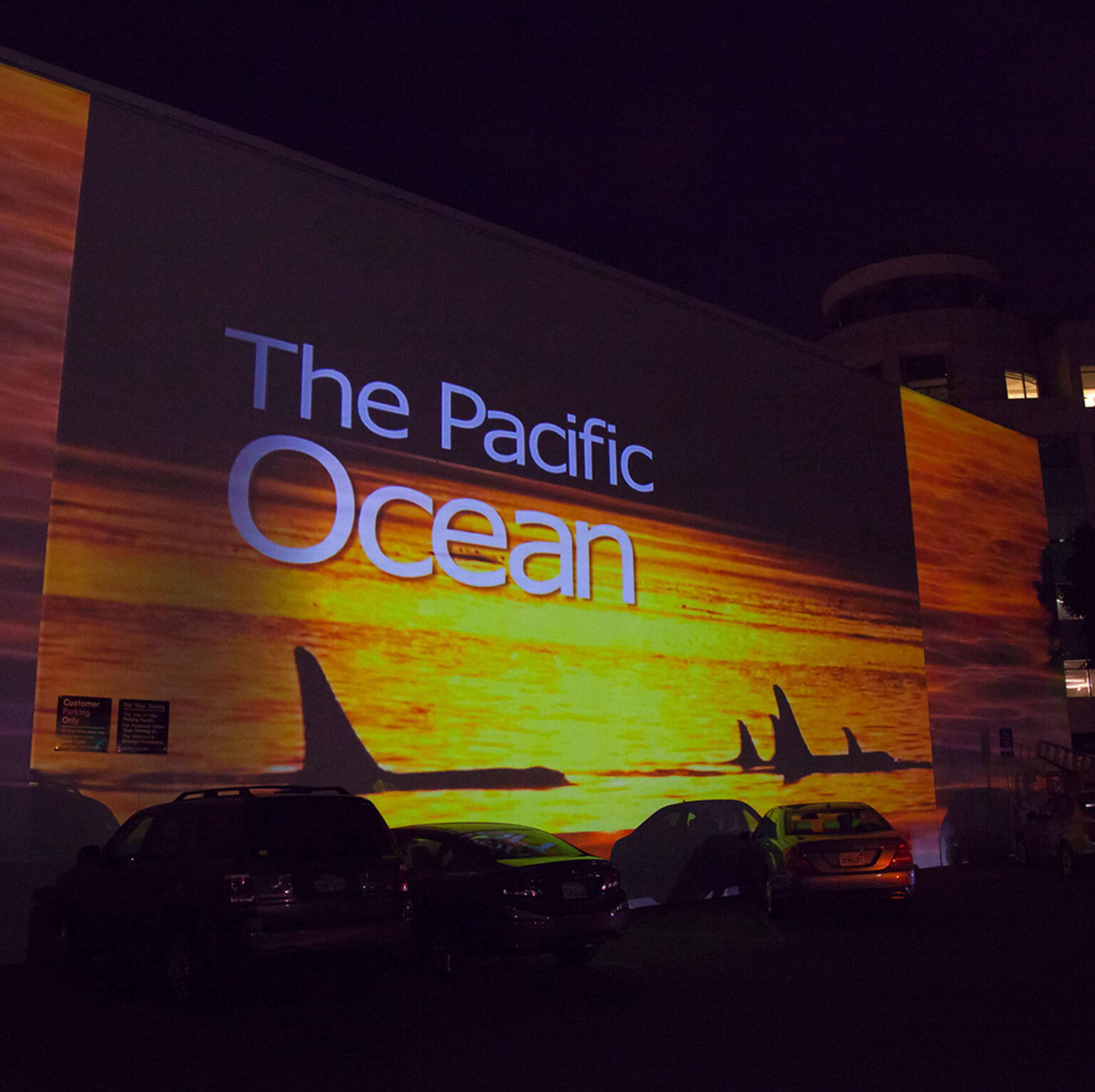 explore.org – Annenberg Foundation